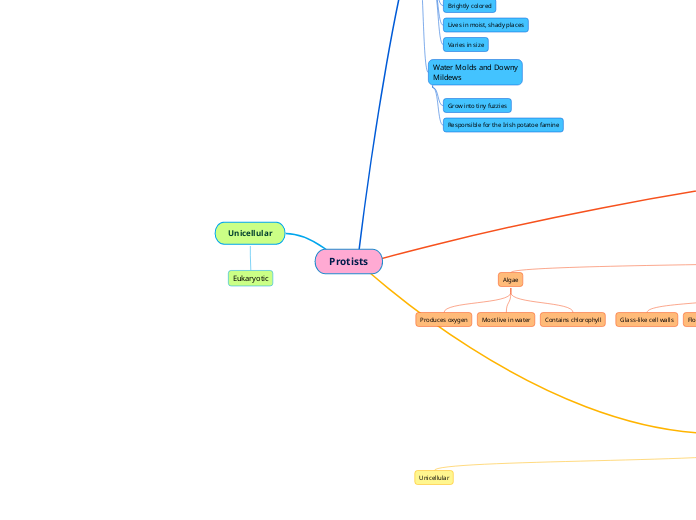 Protists - Mind Map